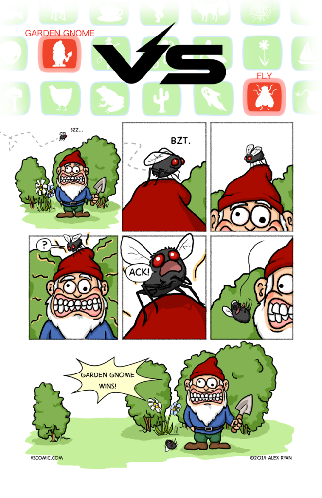 Garden Gnome vs Fly | vs