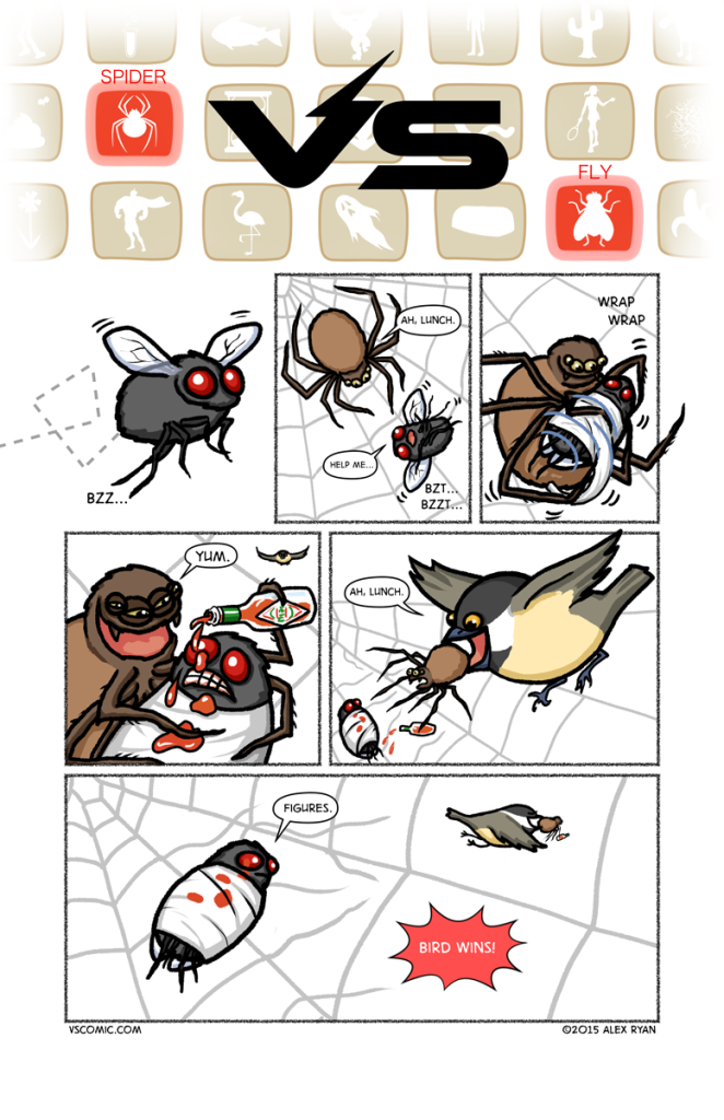 spider vs fly | vs